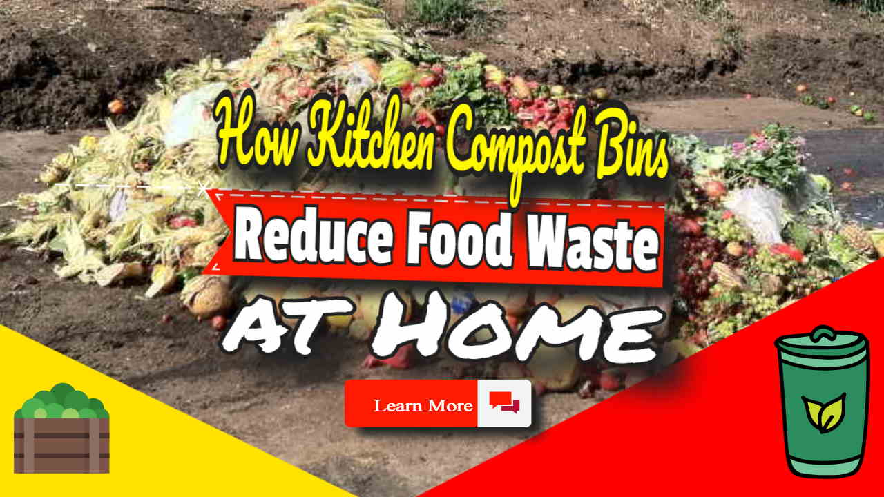 How Kitchen Compost Bins Reduce Food Waste at Home
